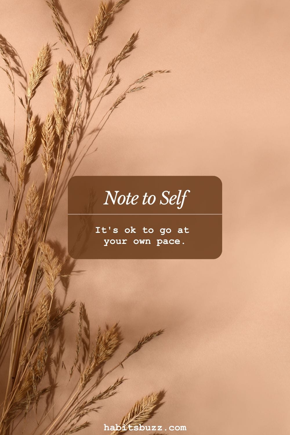 200+ Powerful Note to Self Quotes for Daily Inspiration